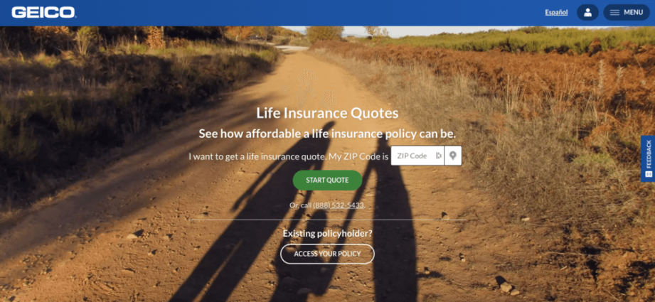 20 Insurance Landing Page Examples for Inspiration